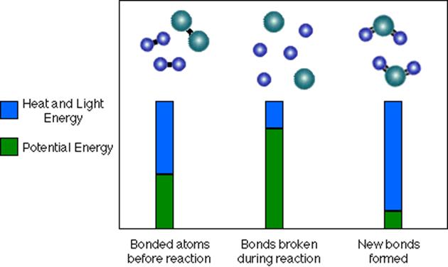 Potential Energy and Bond Formation | LEFFELlabs